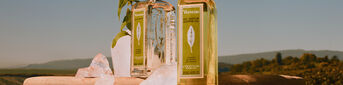 Verbena Classic Collection | L'OCCITANE New Zealand