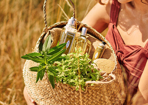 The Couple Behind Our Organic Verbena | L'Occitane New Zealand