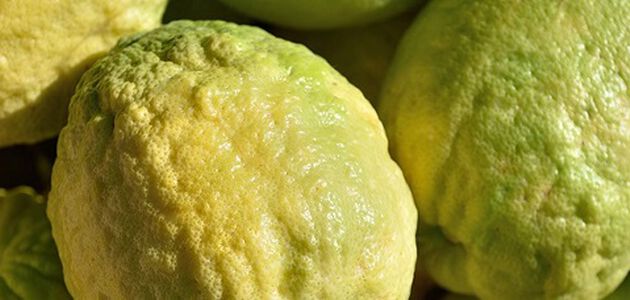 Natural Ingredients | Cedrat | L'OCCITANE New Zealand