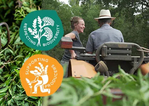 Verbena Classic Collection | L'OCCITANE New Zealand