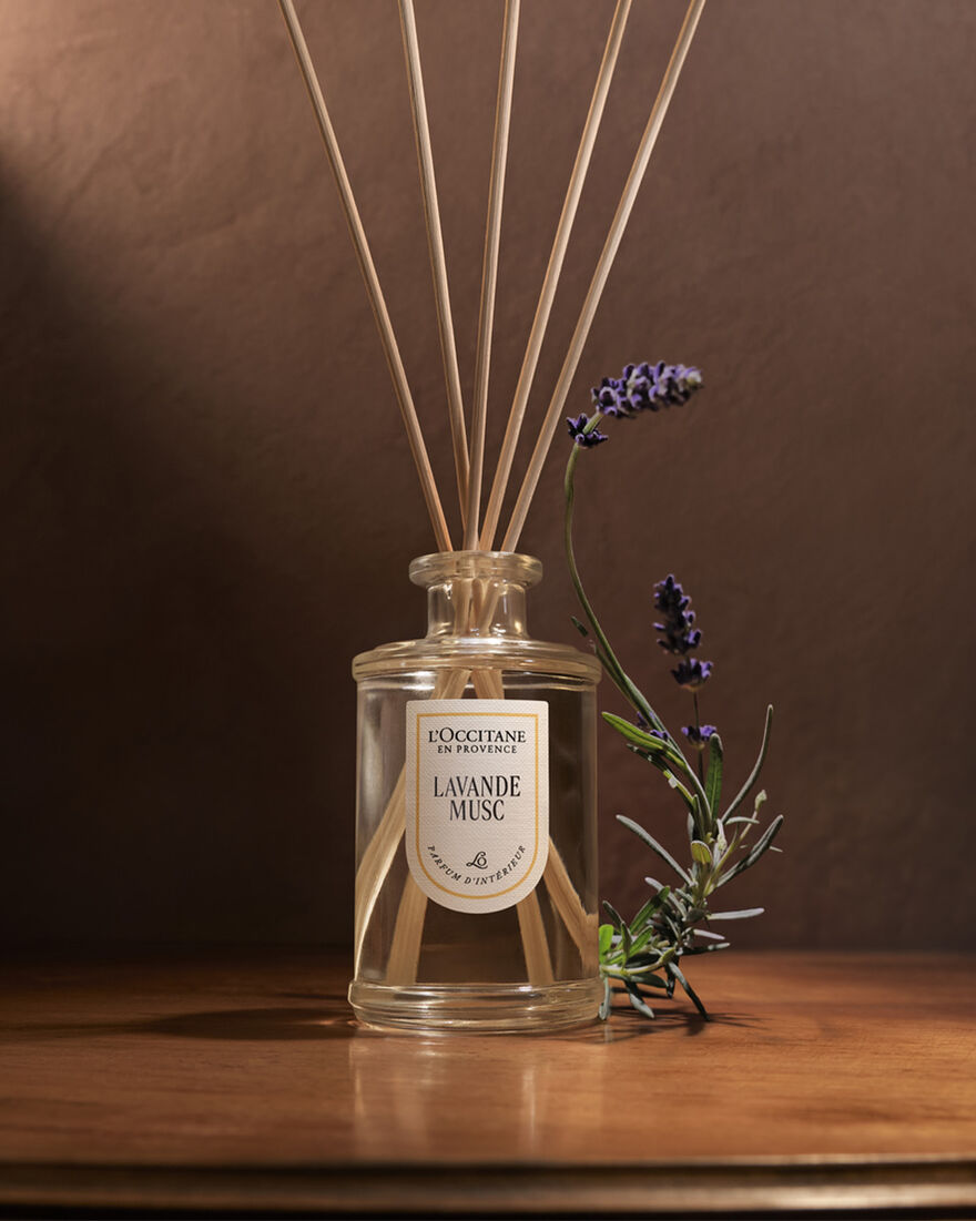 Lavande Musc Home Diffuser Set 240ml | L'Occitane