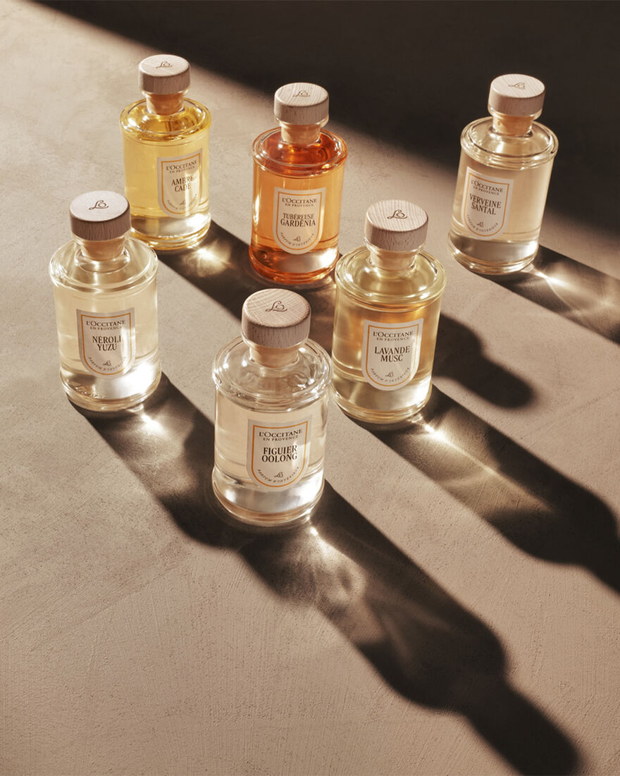 Lavande Musc Home Diffuser Set 240ml | L'Occitane