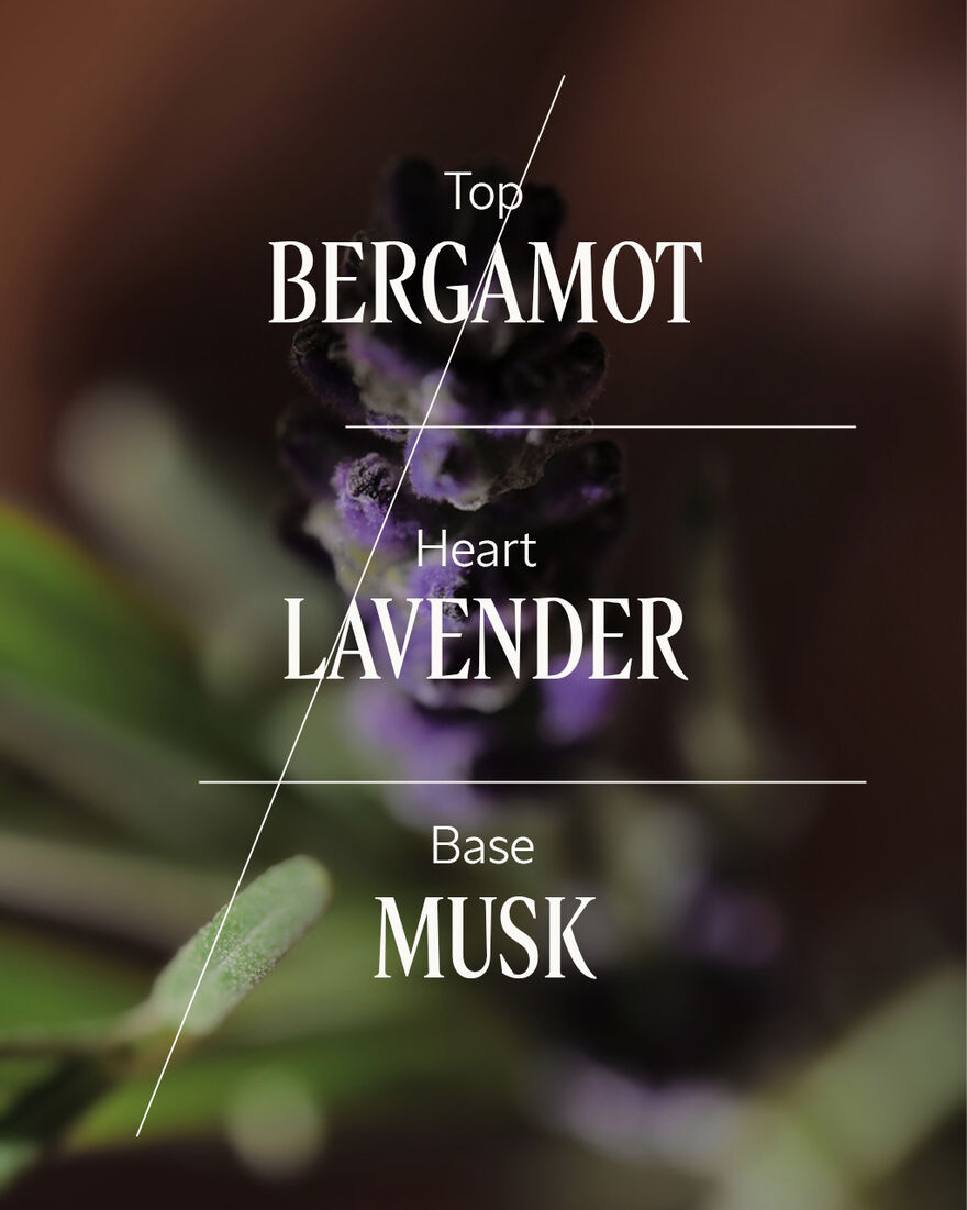 Lavande Musc Home Diffuser Set 240ml | L'Occitane